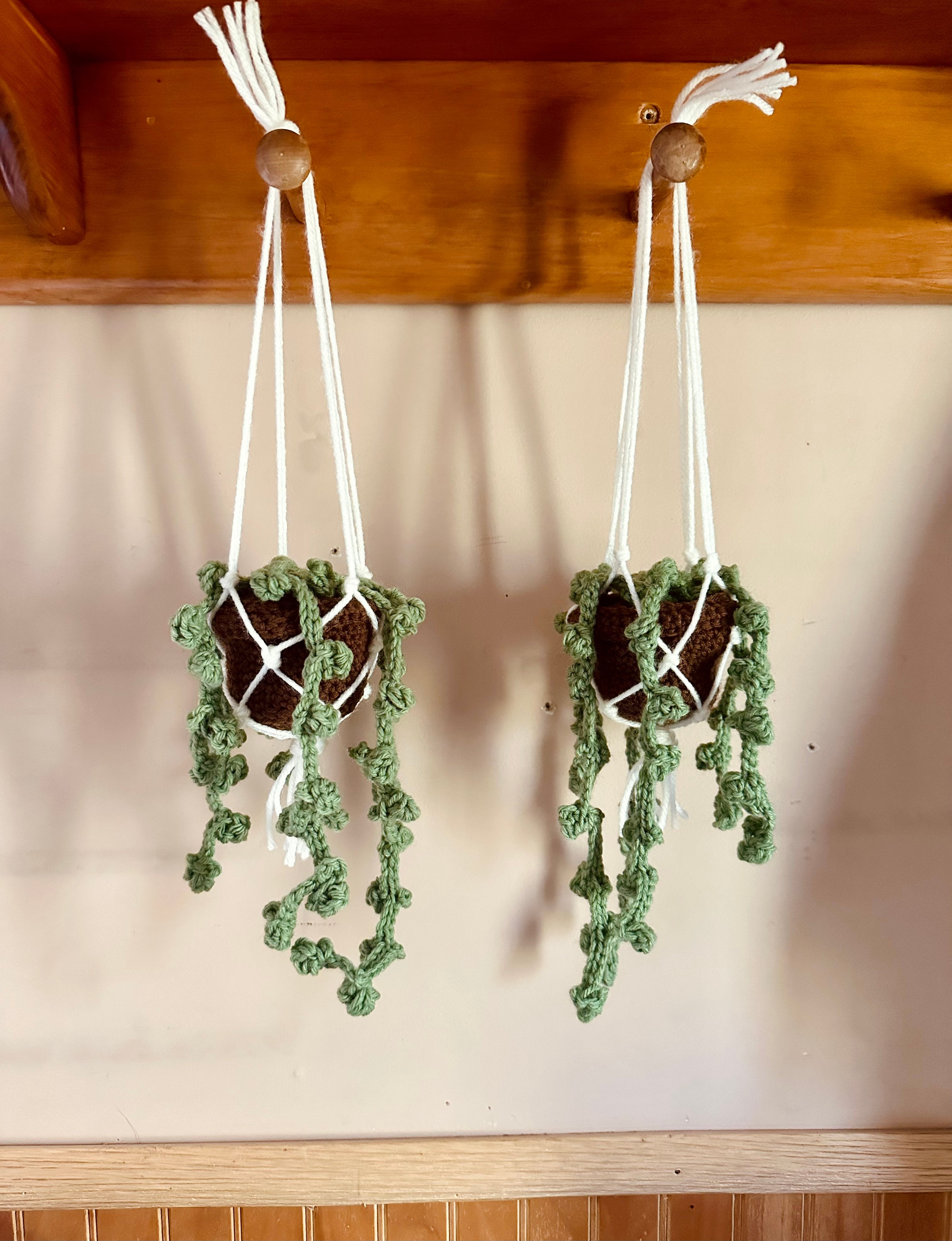 Hanging Plant Rear-View Mirror Car Decor – A Touch of Greenery for Every Drive | SPL3 Handmade